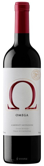 Viña Vik Winery - Omega 2021 (750ml) – Yiannis Wine